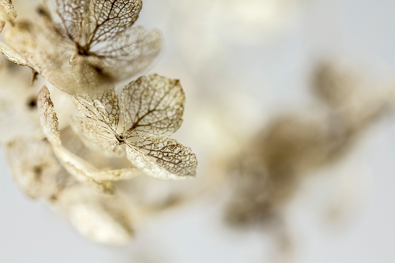 Isabelle LEFEBVRE - Pompes funèbres Delormel & fils - St Just en Chaussée